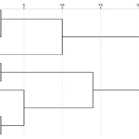 Cluster Analysis Of Individual Genotypes Based On Leaf And Stem