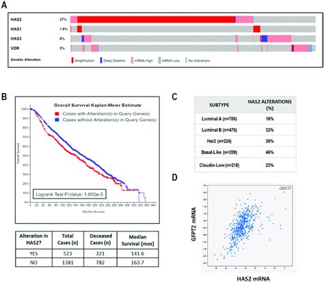 Clinical Relevance Of Has2 In Tcga Metabric Dataset Of Human Breast
