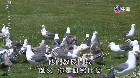 相信因果輪迴 1海濤法師般若講座lifetv2020102606：00 Youtube