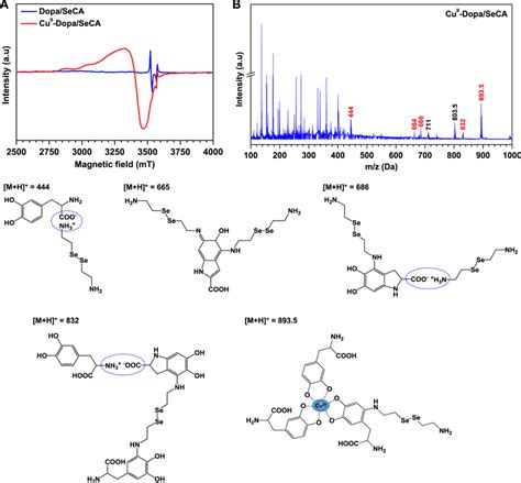 Epr Spectra And Maldi Ms Analysis Of Cuii Dopa Seca A Epr Spectra Download Scientific Diagram