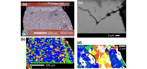 A Polarized Light Image Of Cross Section Of Microstructure For The