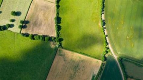 Haies Présentation Du Bilan Du Programme Plantons Des Haies Et Du
