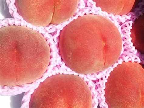 【白桃🍑あかつき】果汁たっぷりモチモチ系！秀品 2kg：山形県産のあかつき｜食べチョク｜産地直送産直お取り寄せ通販 農家・漁師から旬の
