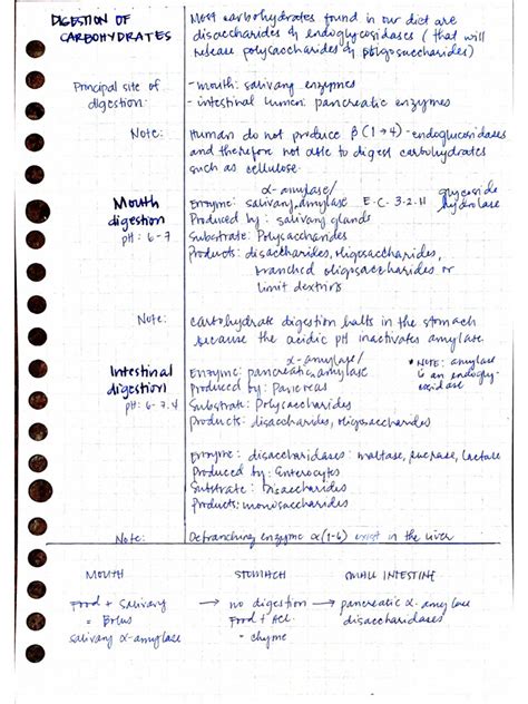 Biochem Lecture Notes Pdf