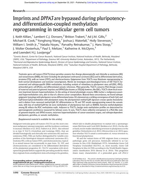 imprints and dppa3 are bypassed during pluripotency and