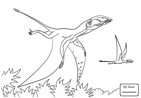 Pterodactylus Coloring Page Coloring Pages