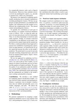 Explaining Speech Classification Models Via Word Level Audio Segments And Paralinguistic