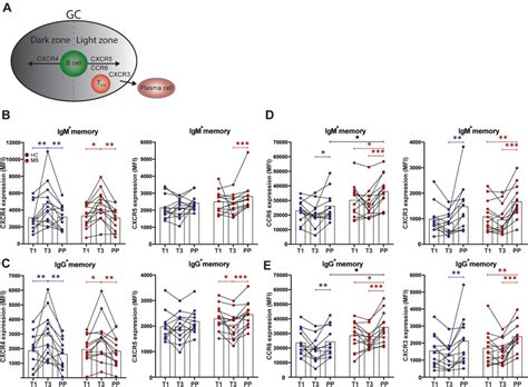 Chemokine Receptor Expression On Circulating Memory B Cells During And