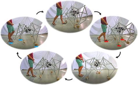The Coupled Human Robotic Device Motion Snapshots From A Video Download Scientific Diagram