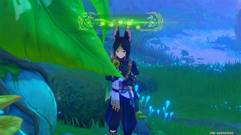 How To Complete The World Of Aranara Quest And Gain All Rhythms In