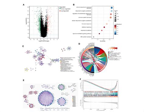 The Analysis Of Differentially Expressed Genes And The Evaluation Of