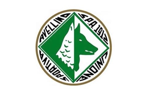 Cosmopol Nuovo Sponsor Dell Avellino Calcio Y Avellino