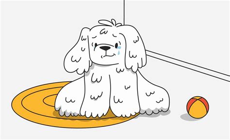 Why Do Dogs Cry Tears 6 Unexpected Reasons Behind Dog Crying