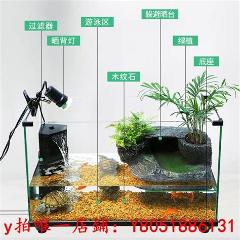 魚缸烏龜缸帶曬臺別墅養烏龜的缸專用生態龜缸高清玻璃魚缸深水龜魚缸水族箱 Yahoo奇摩拍賣