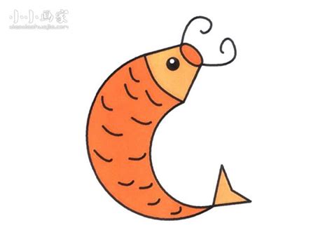 跃起的鲤鱼简笔画画法图片步骤 狸猫故事网