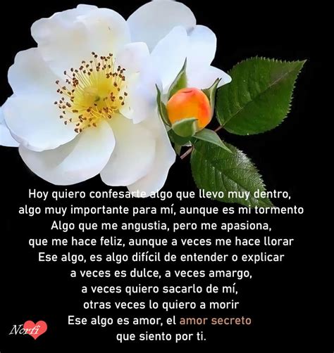 ¿cuál Es La Flor Del Amor Prohibido Blog Viajes Tailandia