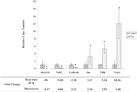 Verification Of Microarray Results Six Genes Were Selected From The
