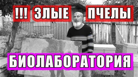 БИОЛАБОРАТОРИЯ ЗЛЫЕ ПЧЕЛЫ Youtube