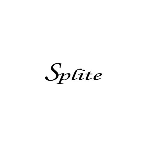 스플릿