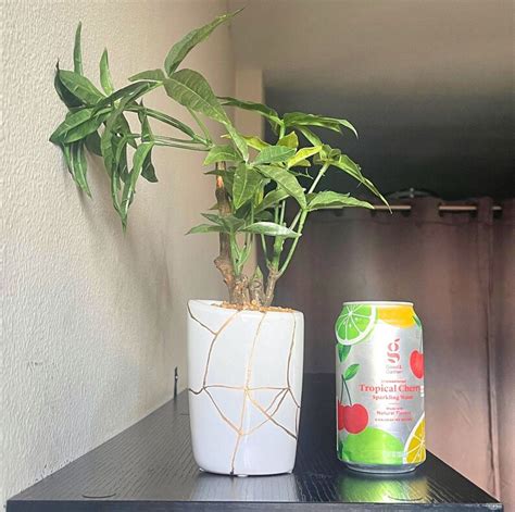 Kintsugi Planter And Artificial Plant White Gold And Green Etsy