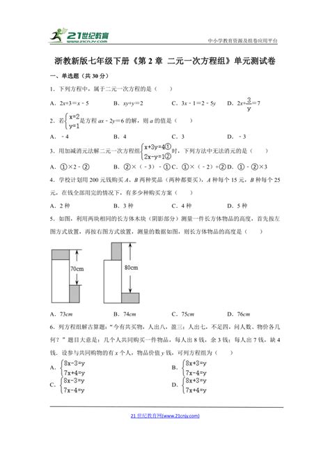 第2章 二元一次方程组单元测试卷（原卷版 解析版） 21世纪教育网