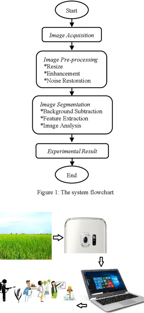 Figure 1 From Rice Leaf Blast Disease Detection Using Multi Level