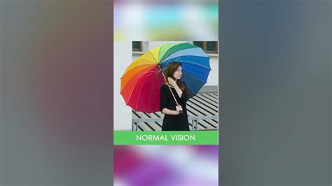 How People With Color Blindness See The World Protanopia Youtube