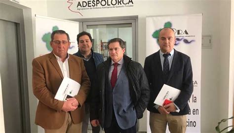 Murcia Permite Ampliar Hasta El La Actual Capacidad De Las