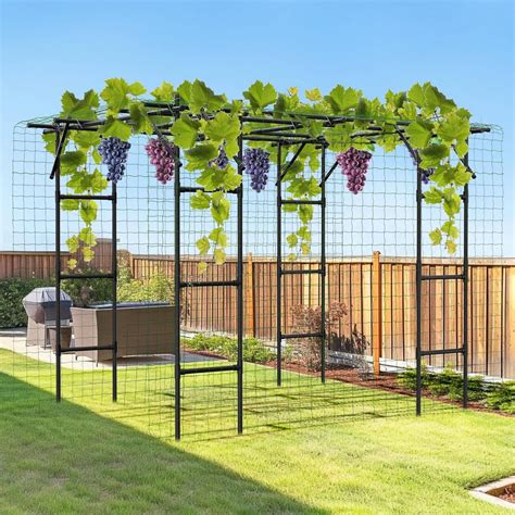 Shangquan Wuliu Tall Garden Arch Trellis For Climbing Plants Large