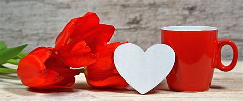 소박한 나무 테이블에 커피 머그잔과 나무 심장 모양의 빨간 튤립 0명에 대한 스톡 사진 및 기타 이미지 0명 공휴일 광대한 Istock