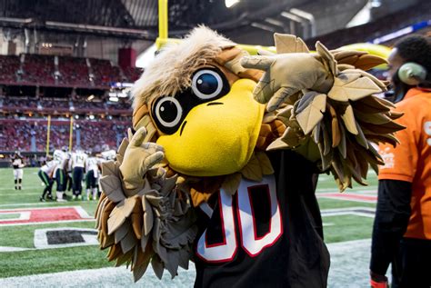 Falcon Mascot
