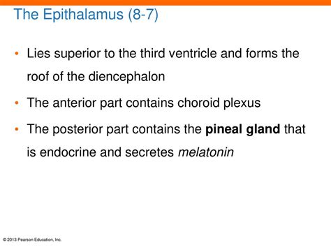 8 The Nervous System Ppt Download