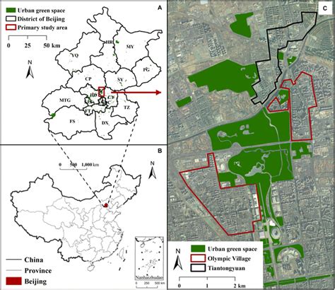 Revealing Gender Disparities In Urban Green Space Utilization Using Mobile Phone Data