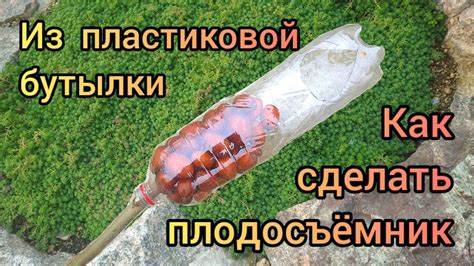 Как сделать плодосъёмник из пластиковой бутылки Youtube