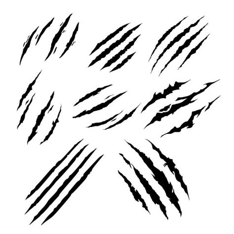Claw Scratch Tattoo Set Vector Eps Svg