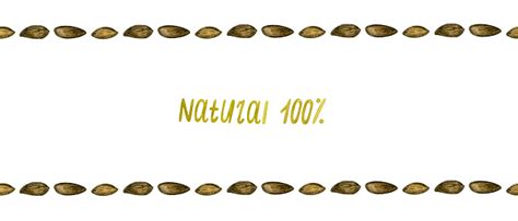 씨앗 견과류 및 아몬드의 이음새가 없는 경계 손으로 그린 향신료 음식 프레임 엽서 디자인용 배너 포장 크래프트 종이 주방용 패브릭 갈색에 대한 스톡 벡터 아트 및 기타