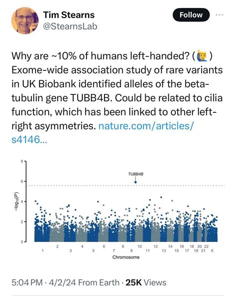 生醫不科科：研究×生活 左撇子背後的生理原因是什麼？