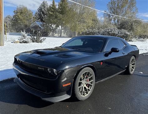 Cats Love Snow Right Lol R Hellcat