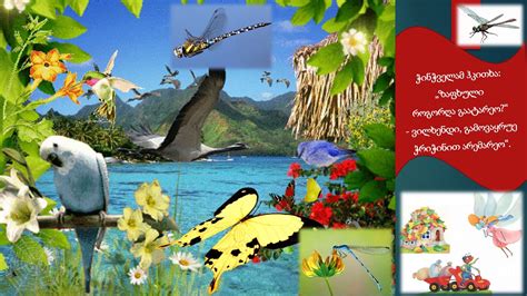 ჭრიჭინა და ჭიანჭველა დალი ხარებაშვილი Youtube