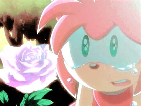 Cutegirlmayra To Amy Heyyyyy Amy Remember In Sonic X When You