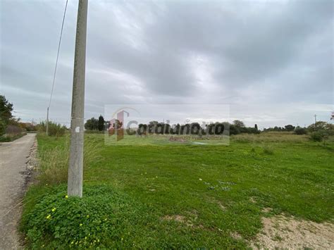 Terreno Agricolo Immobiliare Catalanotto Case In Vendita E Affitto Appartamenti E Immobili