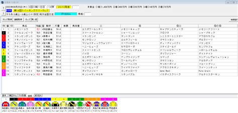 スパーキングサマーカップ2022川崎予想 本命スマイルウィ 【血統フェスティバル】競馬予想ブログ