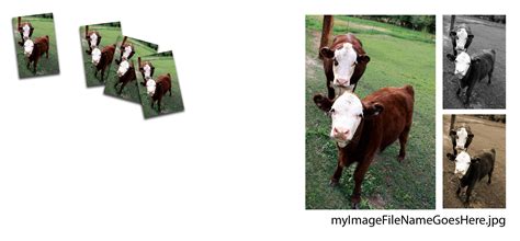 Re Getting The Filename Of A Placed Image Inside Adobe Community