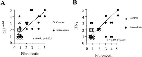 Correlation Between Expression Of Fibronectin And P21 Waf1 Or Ifn The