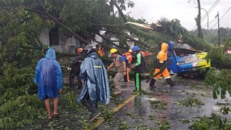 Waspada Potensi Bencana Hydroemeteorologi BPBD Pangkas Pohon