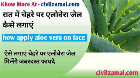 Aloe Vera Gel रात में चेहरे पर एलोवेरा जेल कैसे लगाएं ऐसे करें