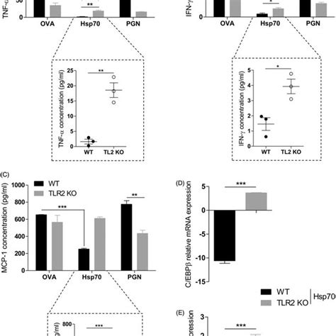 Pro Inflammatory Cytokine Inhibition And C EBPb And C EBPd