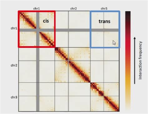 三维基因组学研究的是什么？什么是 Hi C 技术？为什么 Hi C 技术这么火？ 知乎