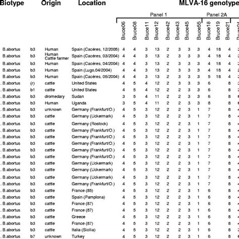 Dendrogram Of Clustered Mlva 16 Genotypes Of The Spanish B Abortus