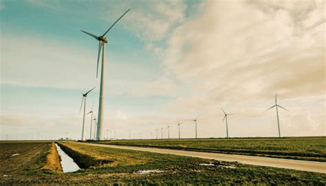 Egypt To Sell Gabal El Zeit Wind Farms By End March Minister